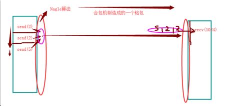 粘包问题 解决粘包问题 一根小菜 博客园