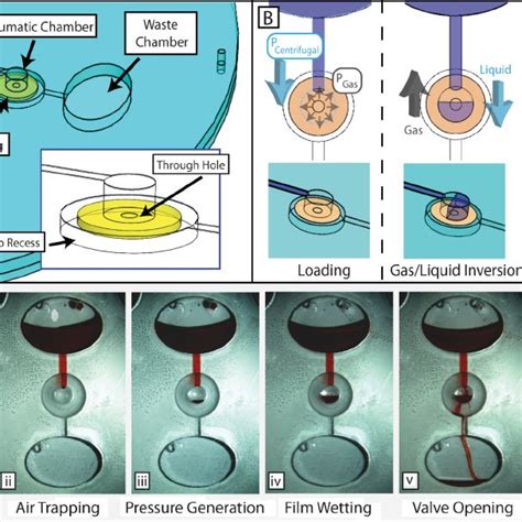 Centrifugal Microfluidic System With Multiple Df Valves Outlining