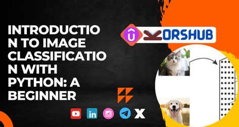 Your First Steps In AI Image Classification With Python For Starters Korshub