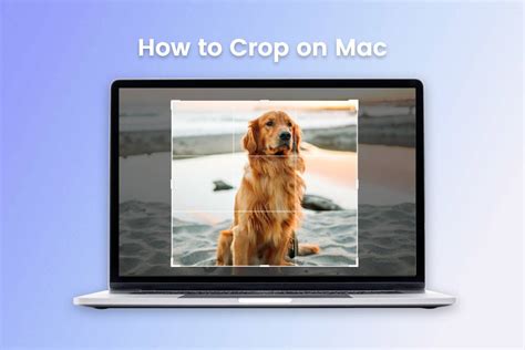 How To Crop On Mac 5 Easy Ways Fotor