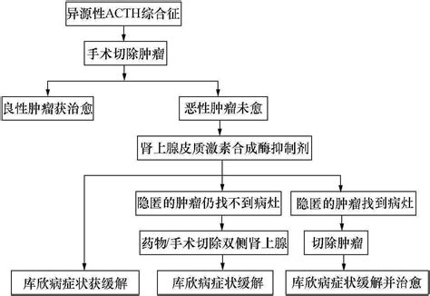 第十章 异源性促肾上腺皮质素综合征 临床处方