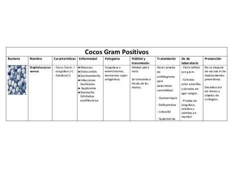 Bacilos Gram Negativos Y Cocos Gram Positivos