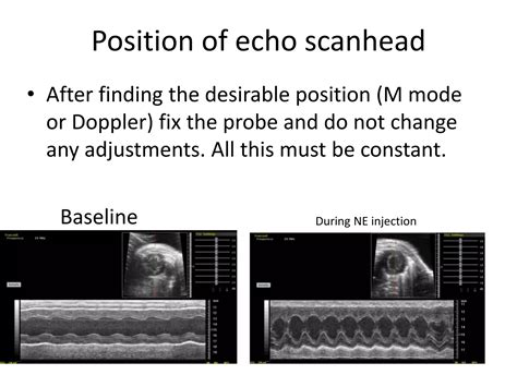 Mouse Echocardiography Echo Guided Intraventricular And Intramyocardial Injection Pptx