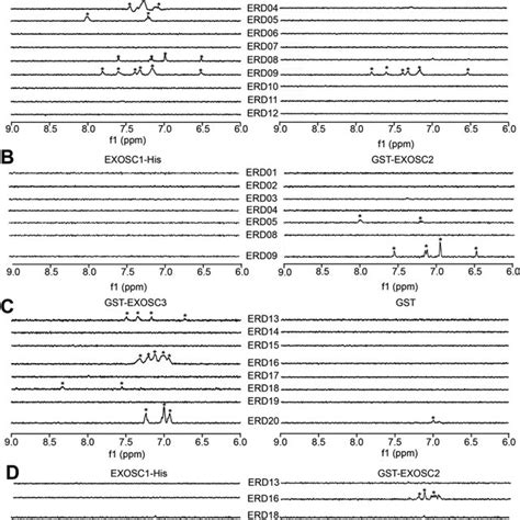 Std Nmr Analysis Of Binding Of Small Molecules To Exosome Subunits 1d