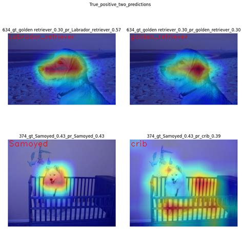 Openvino™ Explainable Ai Toolkit 33 Saliency Map Interpretation
