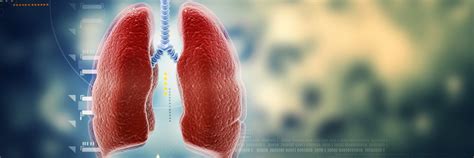 Maryland Allergy Map