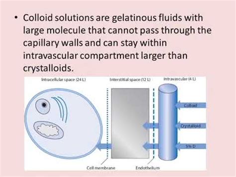 IV Fluids Crystalloids And Colloids Types Of Fluids Intravenous Solutions