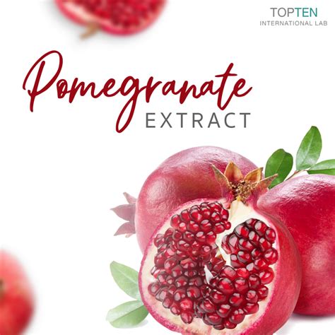 สารสกัดทับทิม Pomegranate Extract Topten International Lab