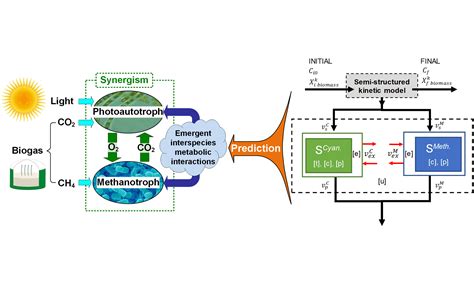 Probing Interspecies Metabolic Interactions Within A Synthetic Binary Microbiome Using Genome