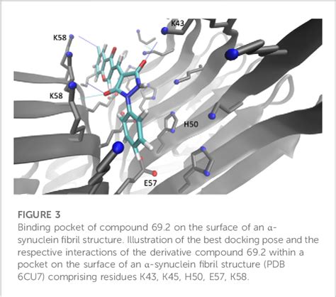 Figure 3 From Optimization Of A Small Molecule Inhibitor Of Secondary Nucleation In α Synuclein