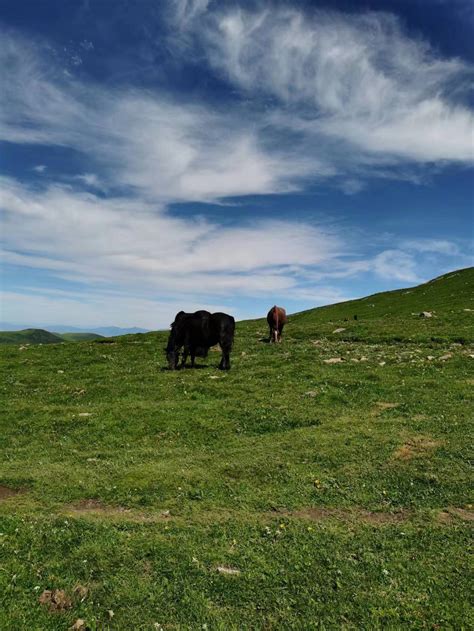 Css畅想 我的发呆专属，反复解锁手机屏幕 云社区 华为云