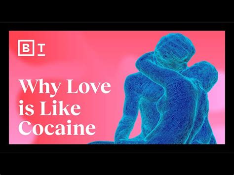 The Science Of Sex Love Attraction And Obsession Big Think Arousal