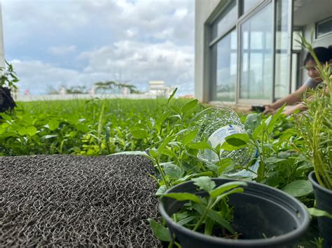 Lawn Object Detection Dataset By Kmitl