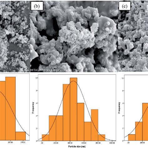 Sem Micrographs Of A Polyan Co Aa B Ao Modified Polyan Co Aa