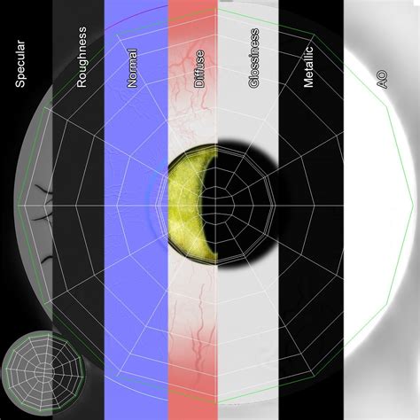 현실적인 생물 눈 녹색 3d 모델 29 3ds Max Fbx C4d Unitypackage Upk Ma Obj Gltf Usd Free3d
