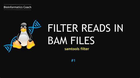 Filtering Bam Files With Samtools Remove Reads From Bam Files Episode