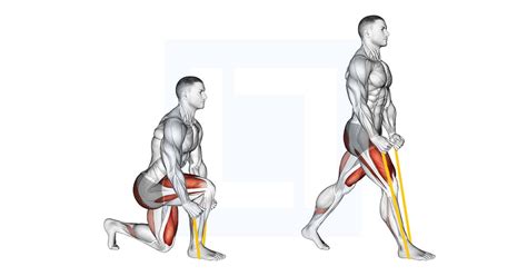 Resistance Band Split Squat Guide Benefits And Form