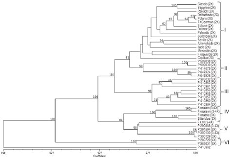 Unweighted Pair Group Method With Arithmetic Averaging Dendrogram Of 40