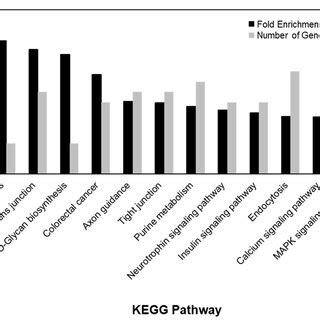 Differential Methylation Was Most Enriched In Metabolic And Download Scientific Diagram