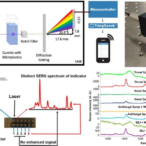 Sers Based Detection Of Micronanoplastics A Development Of A Portable