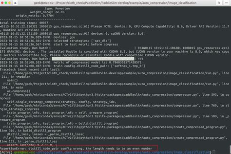 assertionerror distill node pair config wrong the length needs to be