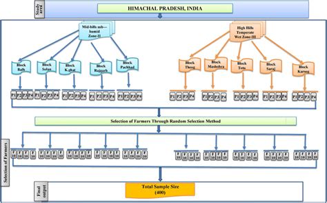 Flow Chart Of Sampling Strategy Adopted Download Scientific Diagram