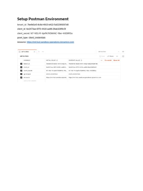 Setup Postman Environment Pdf