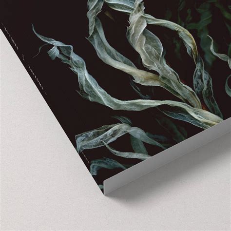 fantome notebook of aspen curated ts