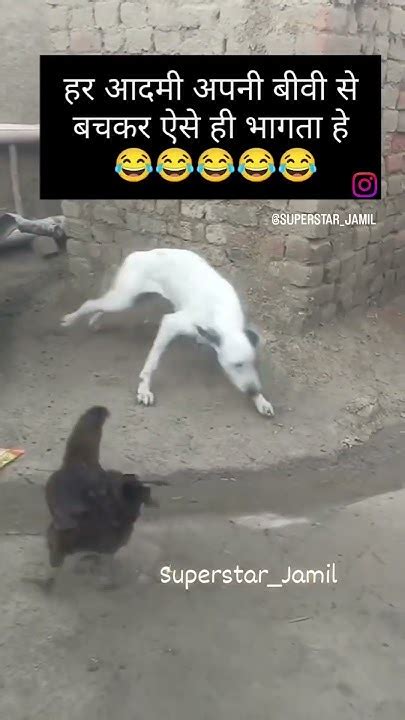 Anantmohaptra B7b 😂😂 Youtube