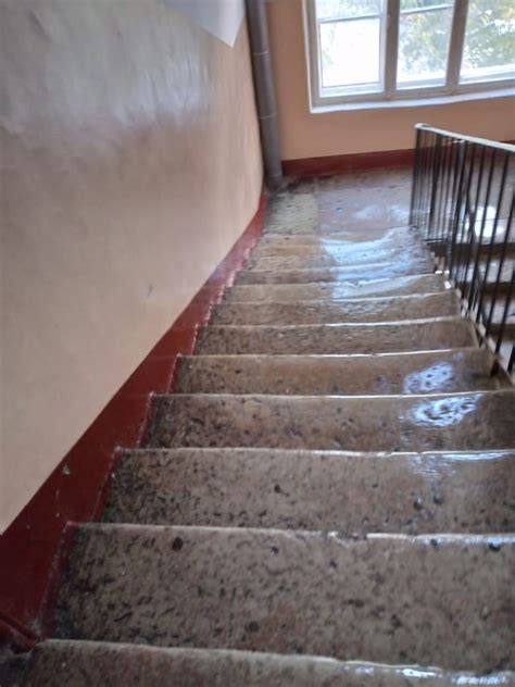 Отчеты о выполняемых работах Жилкомсервис №1 Фрунзенского района