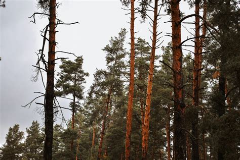 Hacking Background Photos Download The Best Free Hacking Background