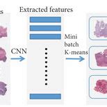 Overview Of The Deep Learning Model A The Overall Flow Chart Of Download Scientific Diagram