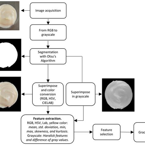 Image Processing Methodology For Feature Extraction Image Acquisition
