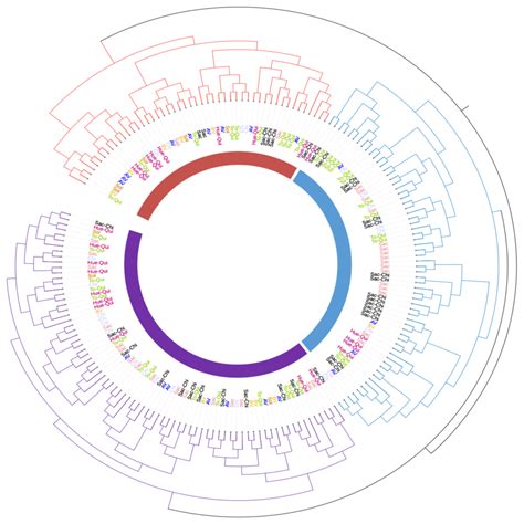Dendrogram Constructed With UPGMA Showing The Genetic Relationship Of Download Scientific