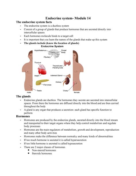 endocrine system module 14 endocrine system module 14 the endocrine