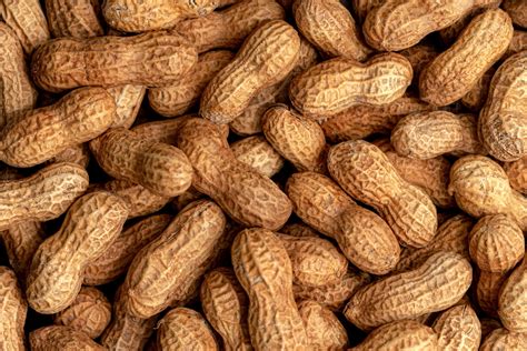 Peanut Allergy Breakthrough In The Uk The Good News Movement