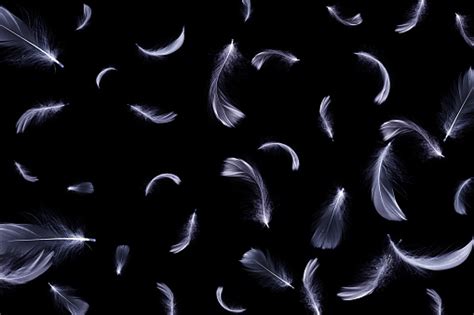 깃털 디자인 화이트 파스텔 천사 깃털 클로즈업 텍스처는 패턴 사진의 어두운 배경에 떨어지는 추상 밝은 파란색 색상 트렌드와 빈티지 개념에 대한 스톡 사진 및 기타 이미지