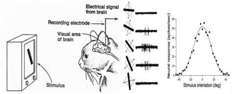 인공지능컨볼루션 신경망