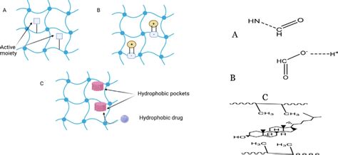 Entrapment Strategies A Covalent Linkage B Electrostatic Linkage Download Scientific