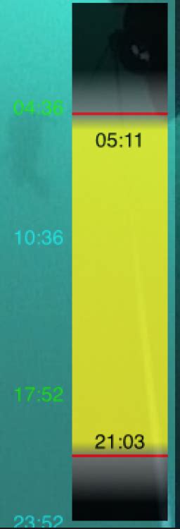 Ios Get Rendered Bounds Of A View In Viewdidload Stack Overflow