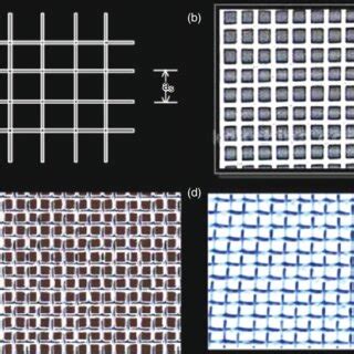 Schematic Structure Of Meshes A Metal Wire Meshes B Iron Wire Download Scientific