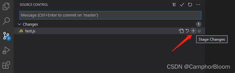 vscode配置git推送代码 vscode git push csdn博客
