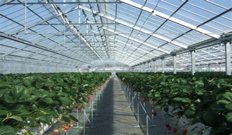 작물 재배용 유리온실 유리온실
