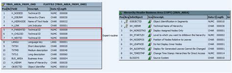 sap bw importing hierarchies from flat files crea sap community