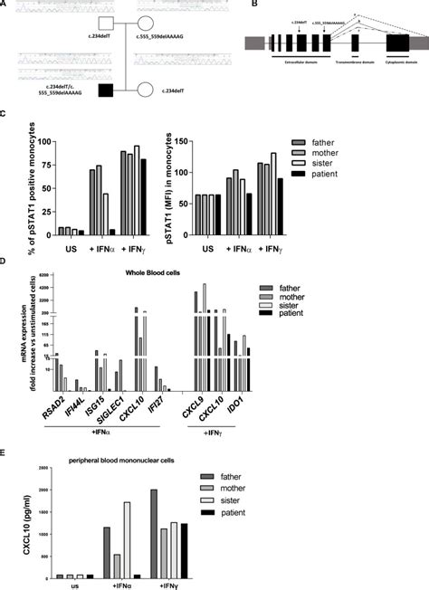 Ifnar2 Deficiency Causing Dysregulation Of Nk Cell Functions And