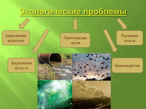Влияние человека на природу презентация онлайн