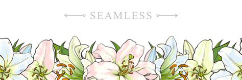 Lily Border Vector Images Over 2 600