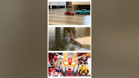 선물로 받으면 오열하는 아이템모음 Youtube