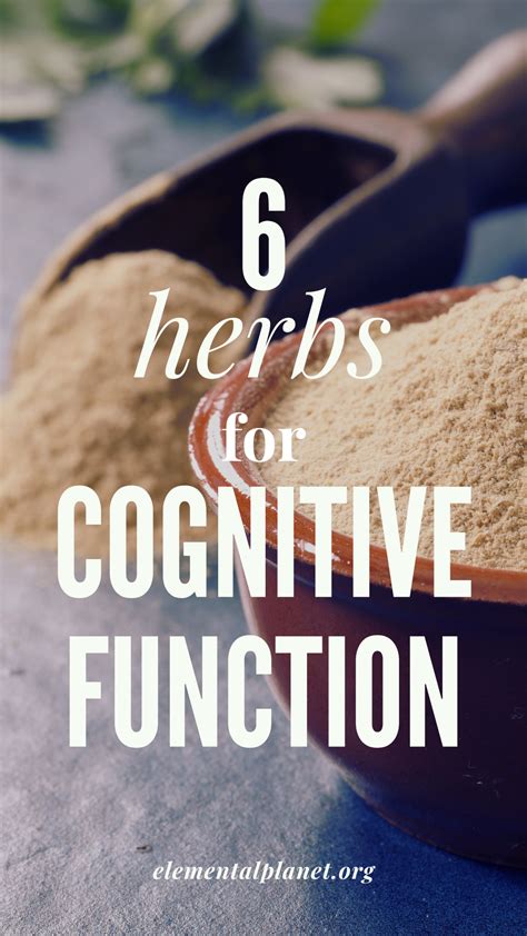 6 Herbs To Support Cognitive Function — Elemental Planet