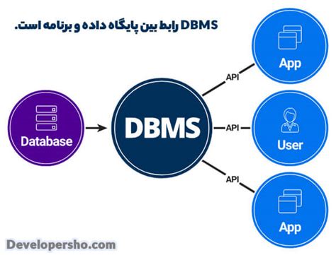 پایگاه داده چیست؟ Database کاربرد دیتابیس و انواع آن